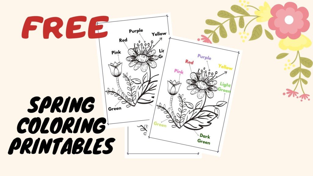 Spring FREEBIE - Flowers Coloring Templates - AS TOLD BY MOM